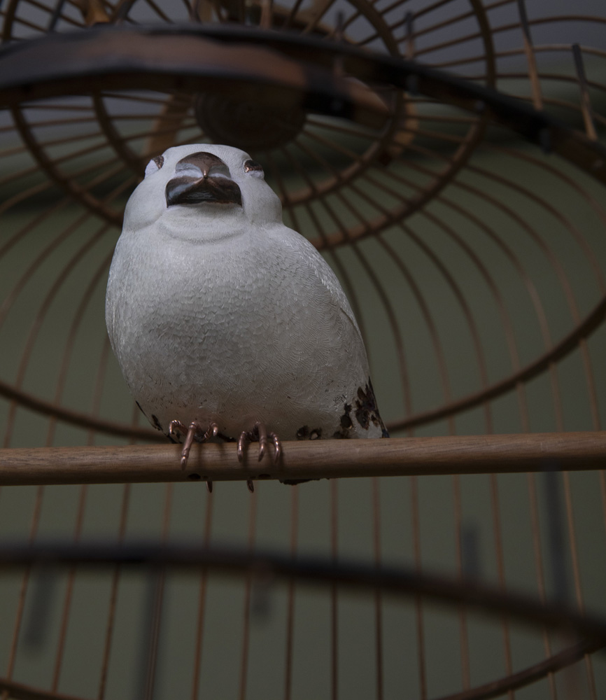 鞴の会 | YU CHIA PING